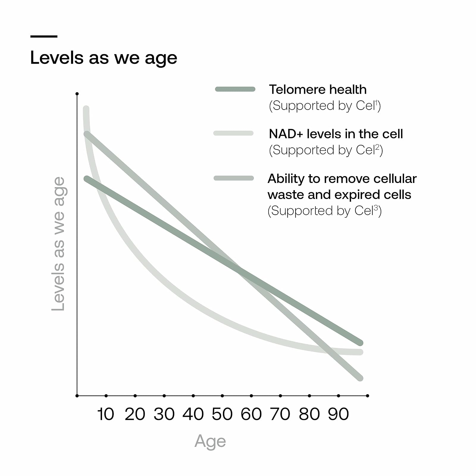 support for daily wellness routine