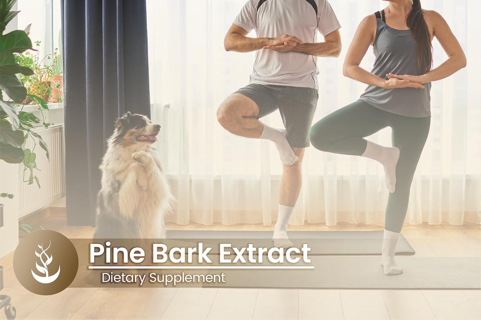 Support for healthy circulation pine bark