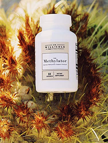 support for healthy methylation process