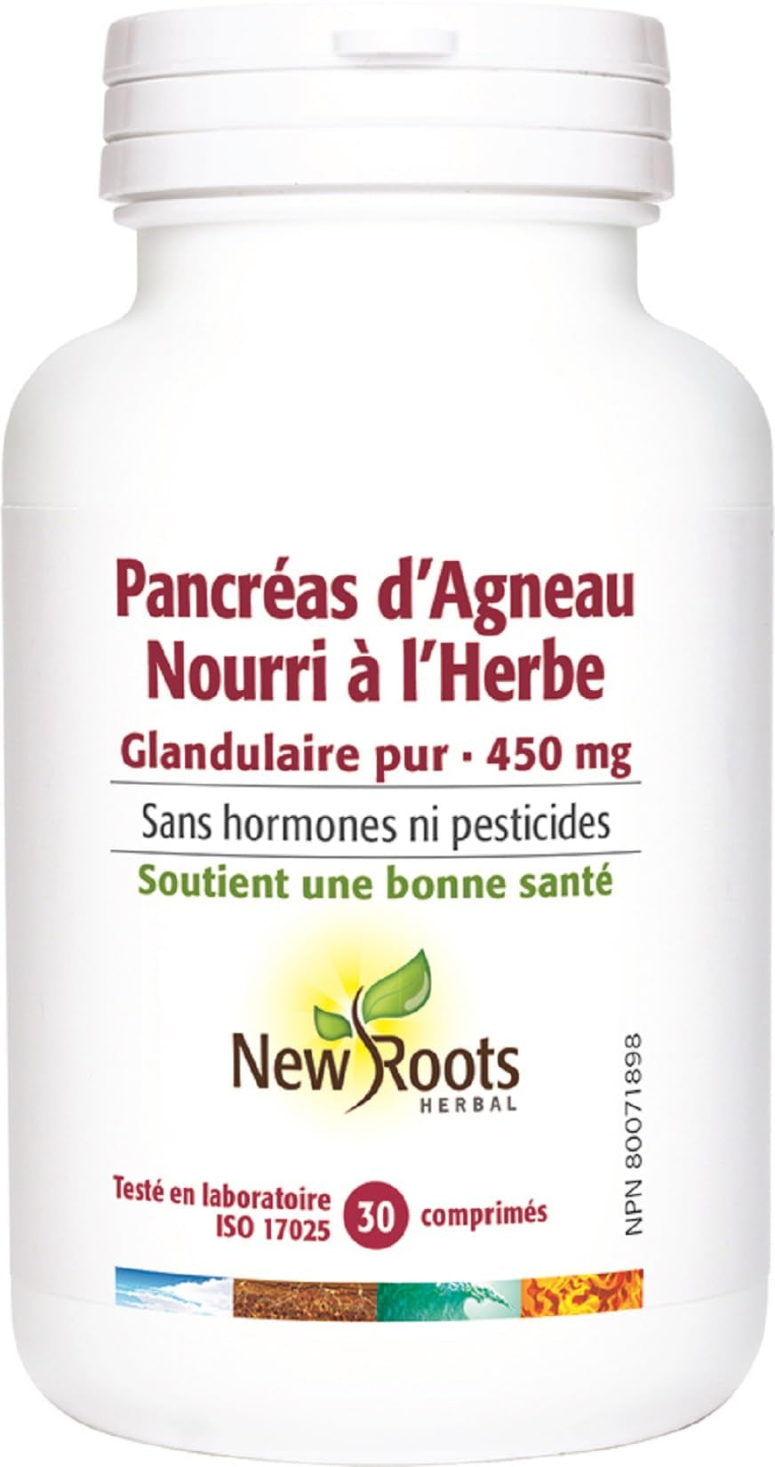 support for healthy pancreas function