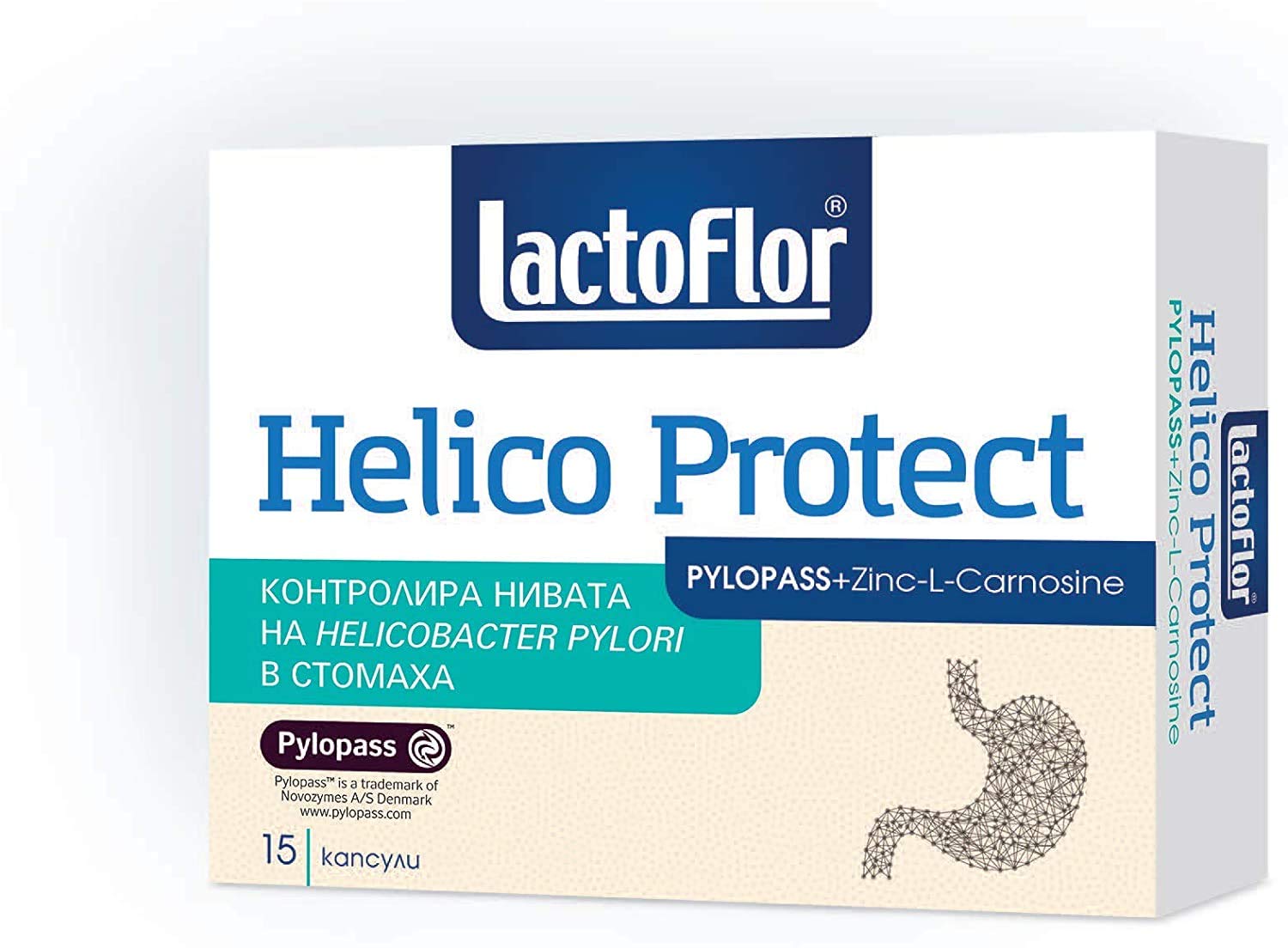 Support for Helicobacter Pylori treatment