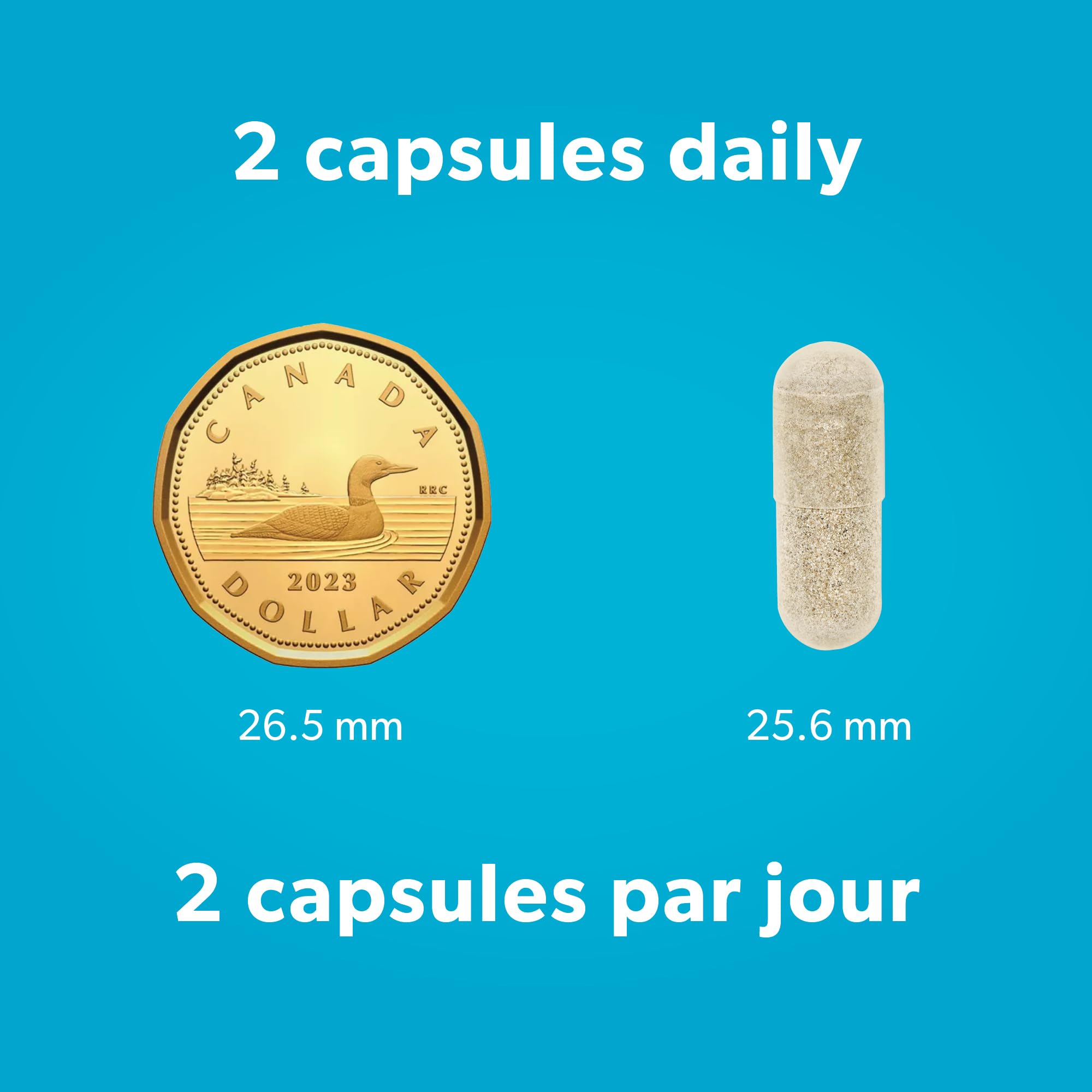 support for hormonal balance