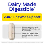 support for lactose digestion enzymes