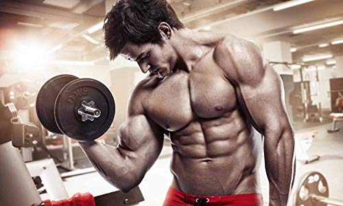 support for lean muscle development