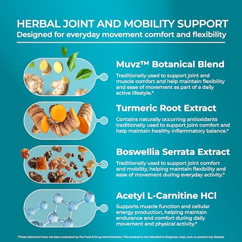 support for lower back discomfort