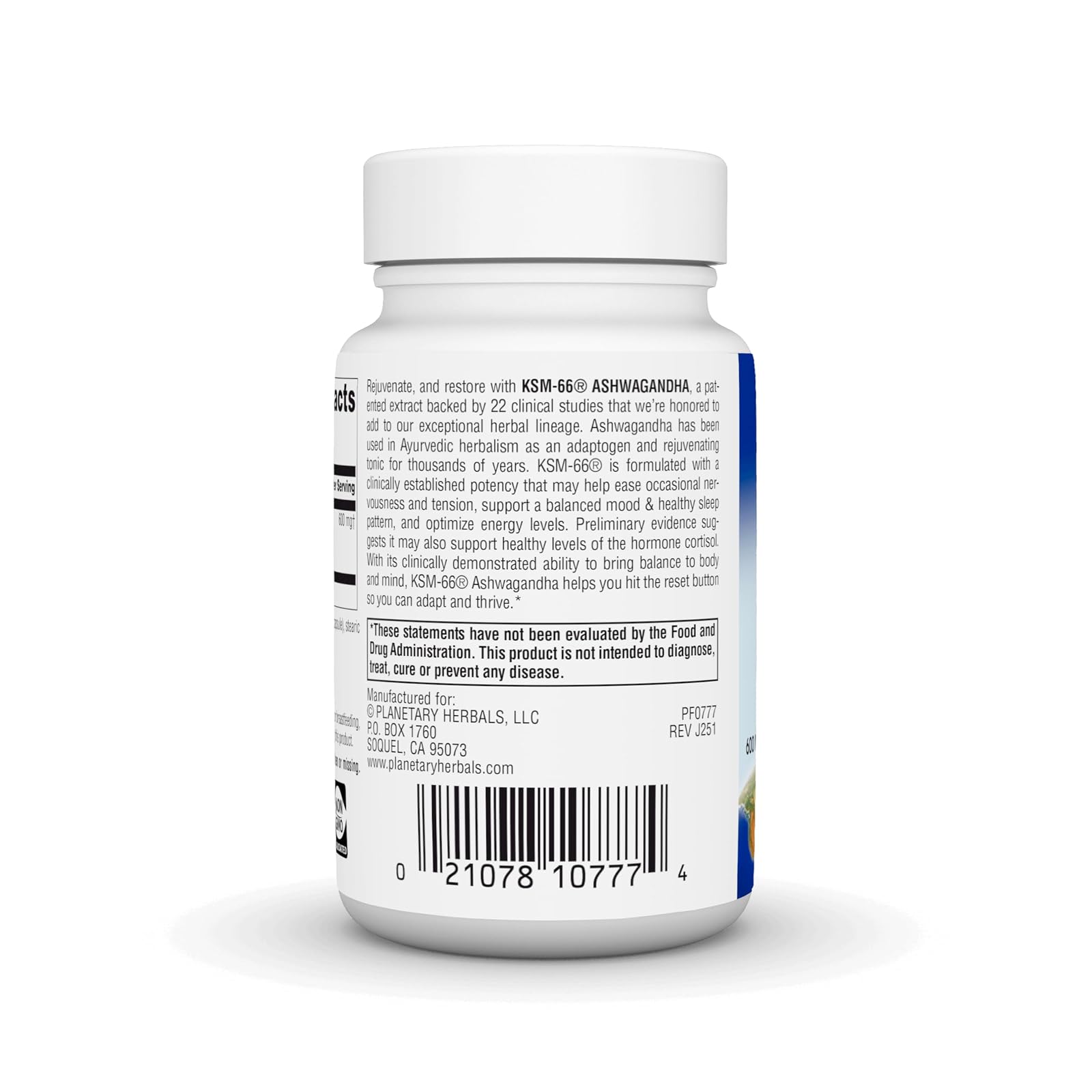 support for mental clarity and focus