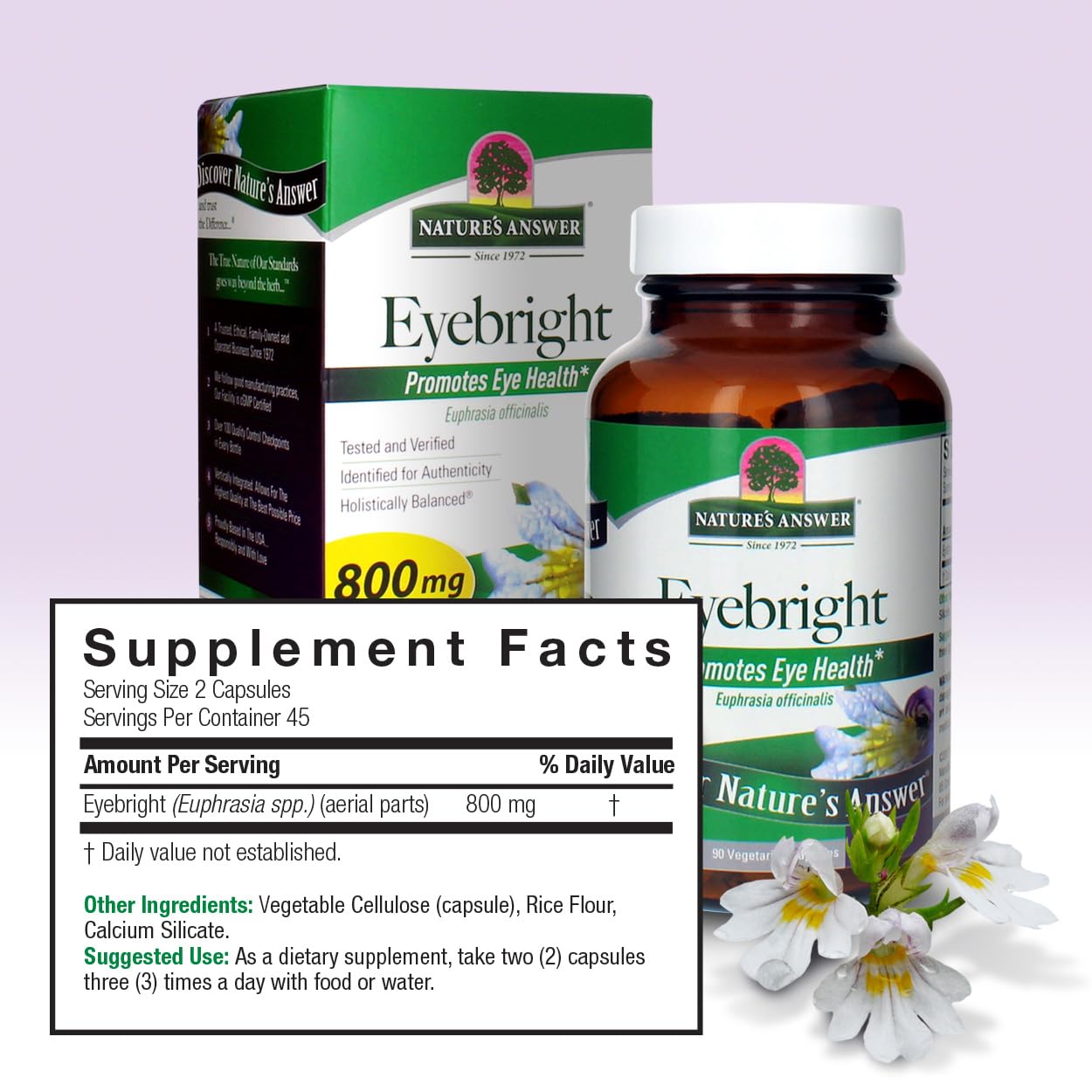 support for seasonal allergies relief