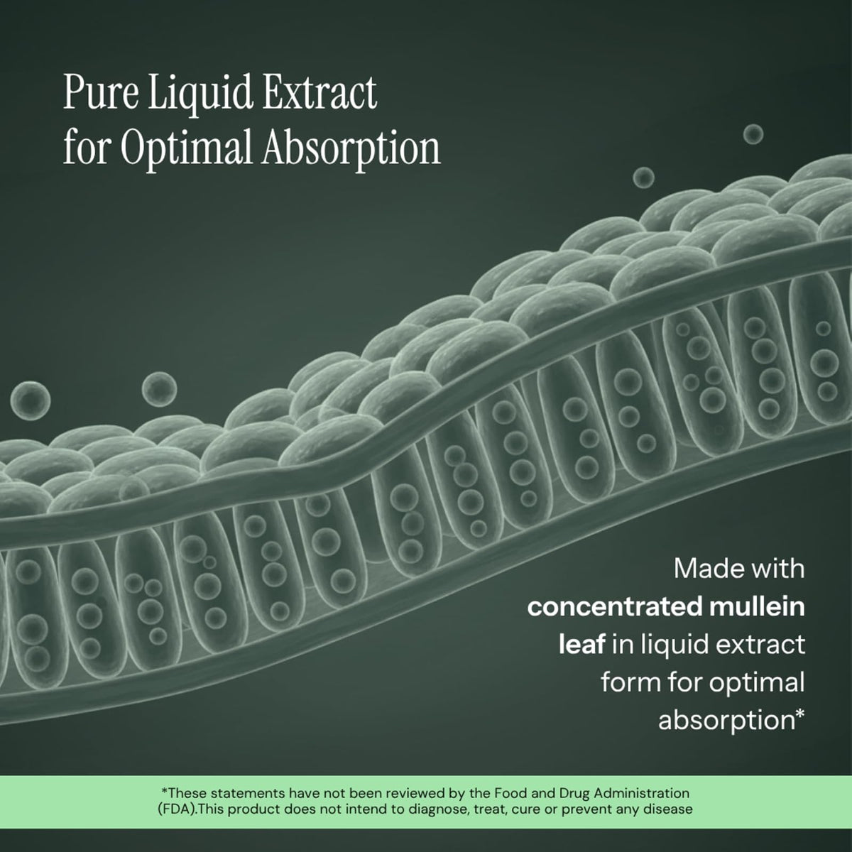 Support for throat and lung wellness