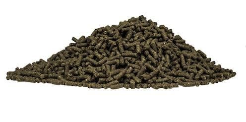 support goat growth with iron