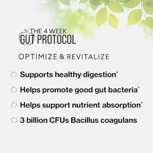 support gut balance with enzymes