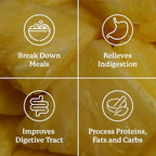 support gut health digestive enzymes
