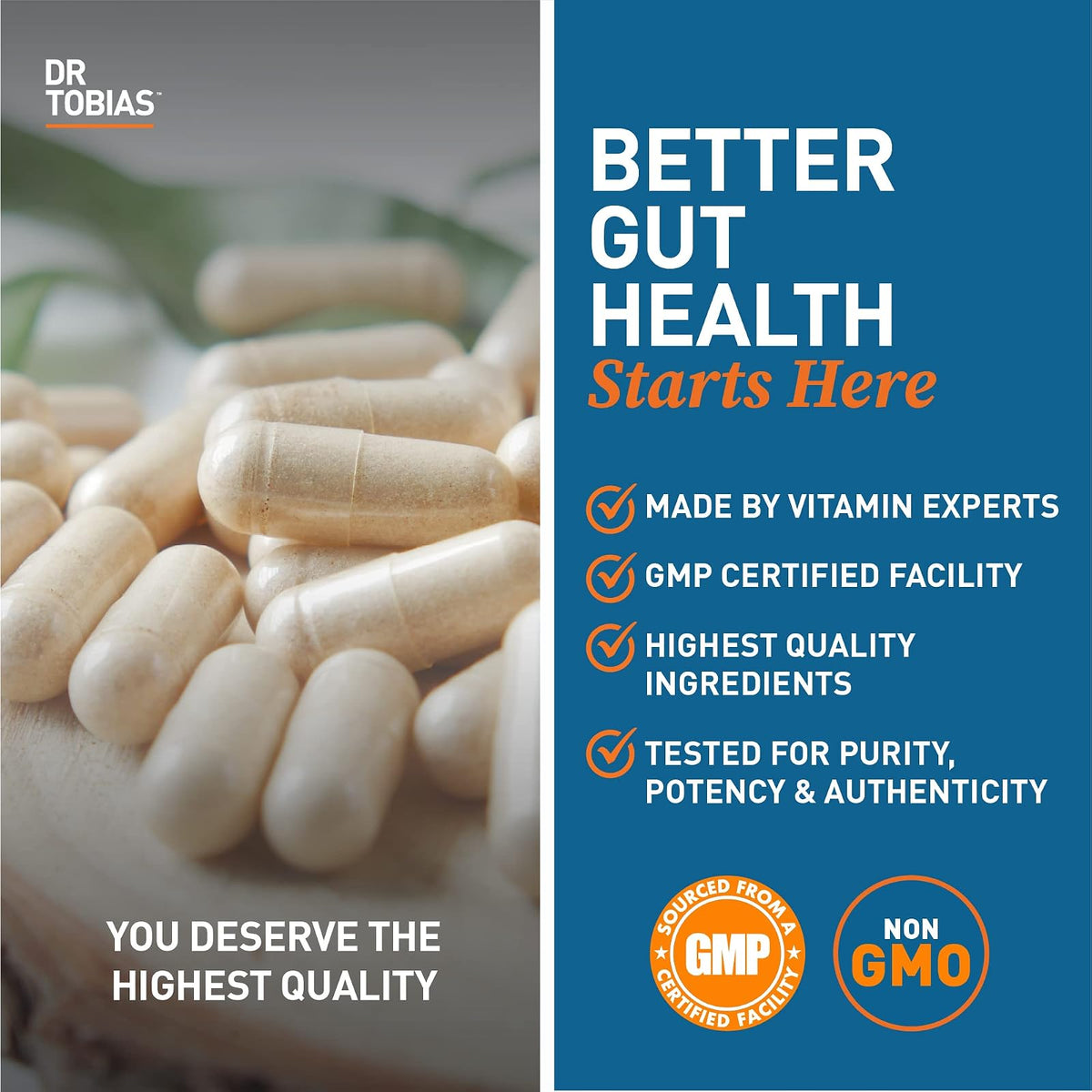 support gut health probiotics