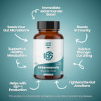 support gut health with Akkermansia