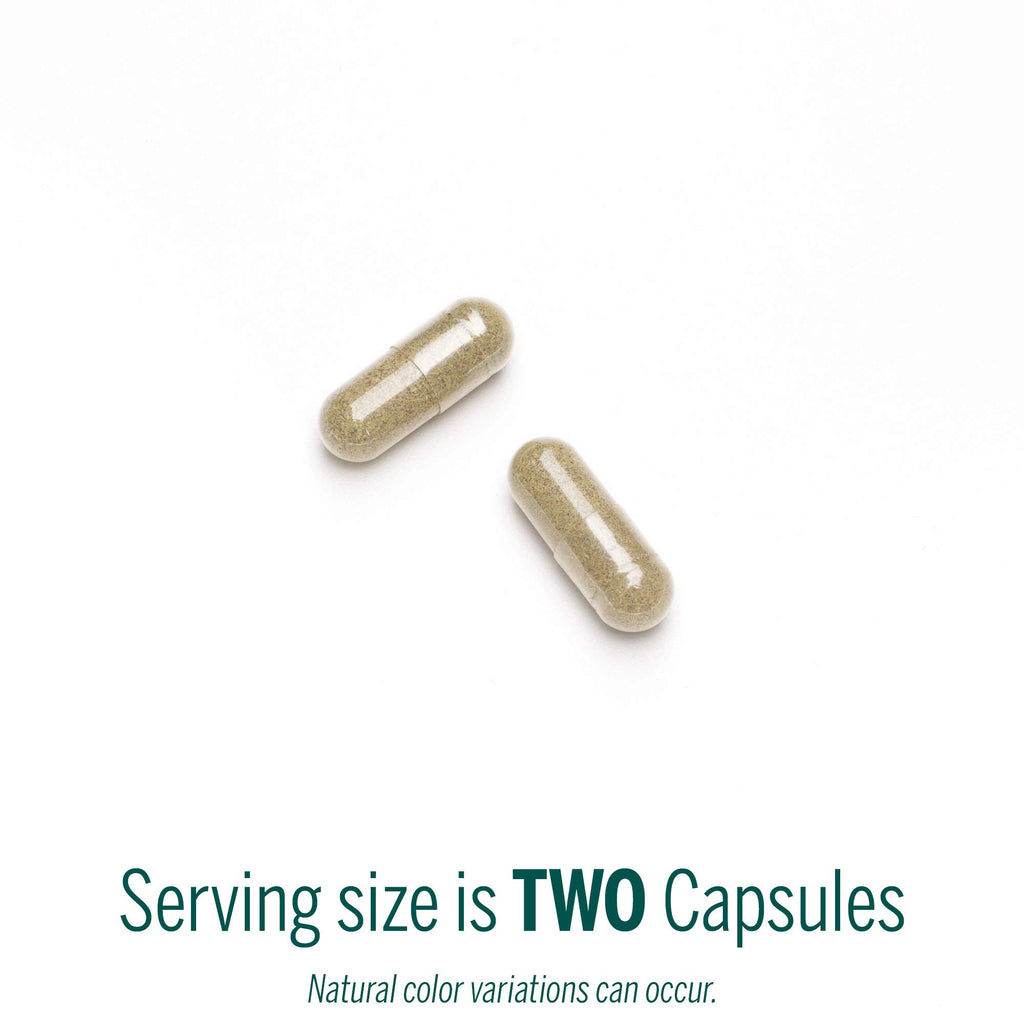 support gut health with capsules