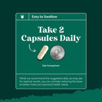 support gut health with enzymes