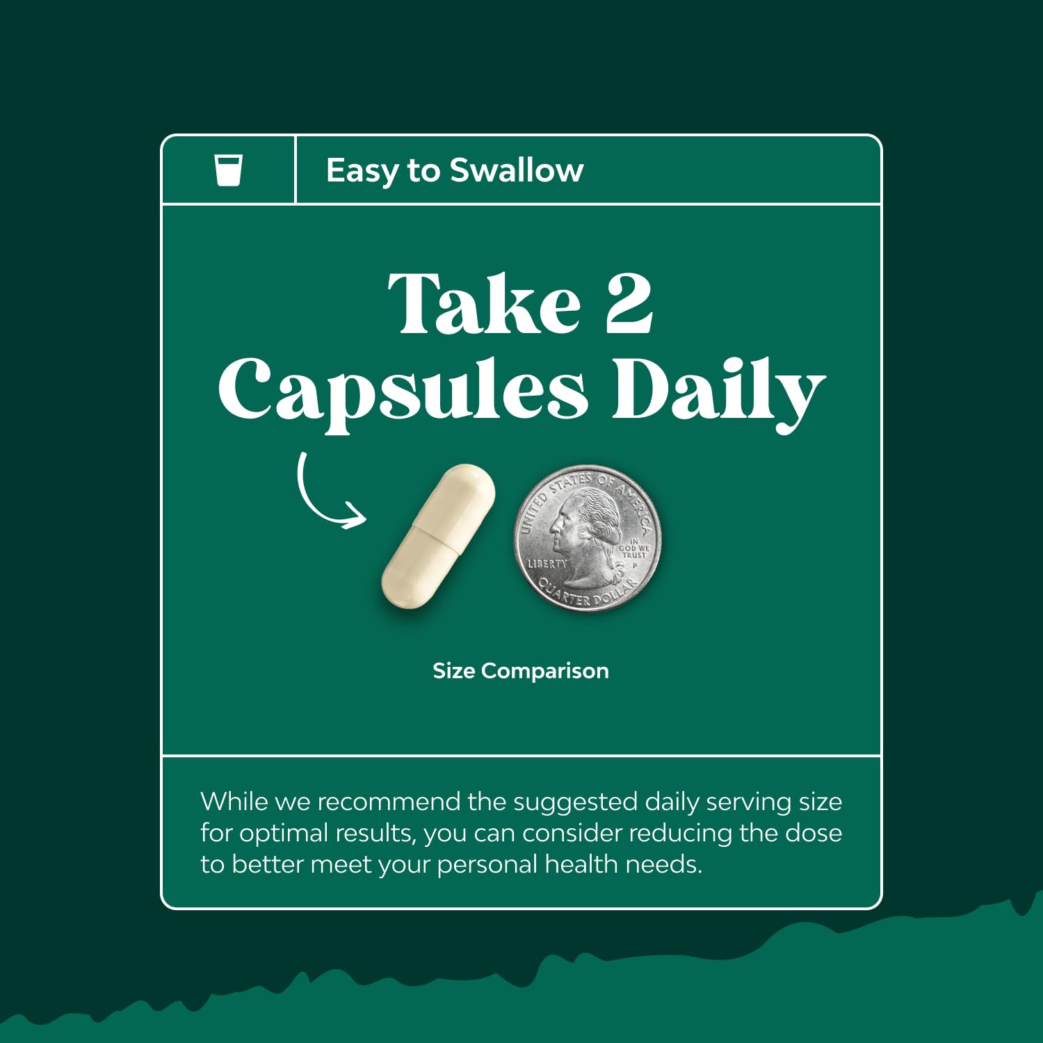 support gut health with enzymes