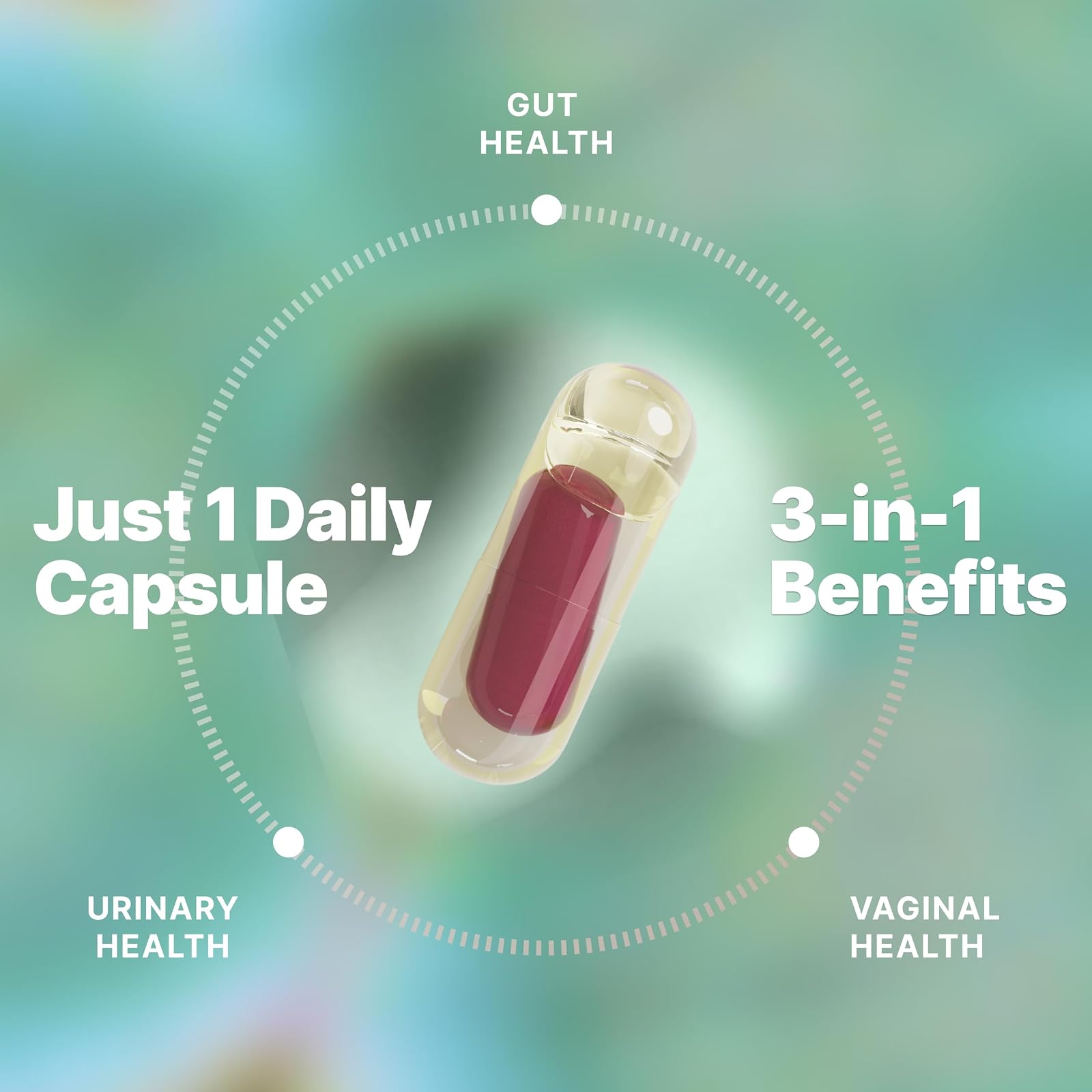 support gut health with Evvy probiotics