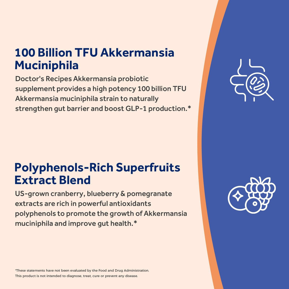 support gut health with probiotics