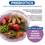 support gut health with probiotics
