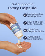 support gut health with probiotics