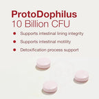 support gut health with ProtoDophilus