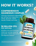 support gut health with Vitalibre