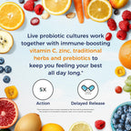 support gut health with Vitalitown