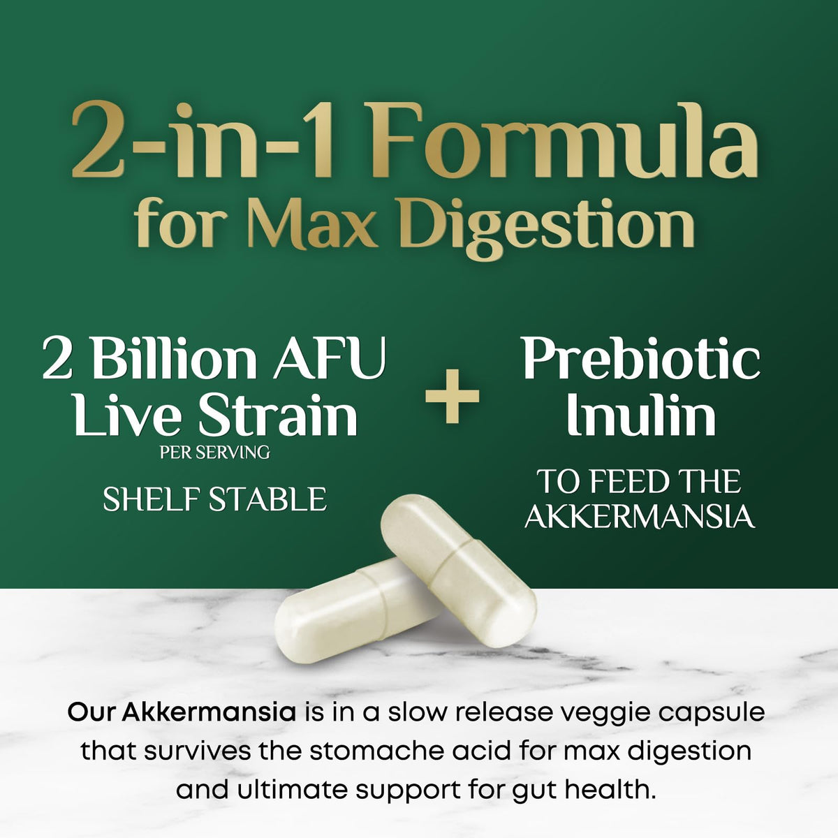 support gut microbiome balance