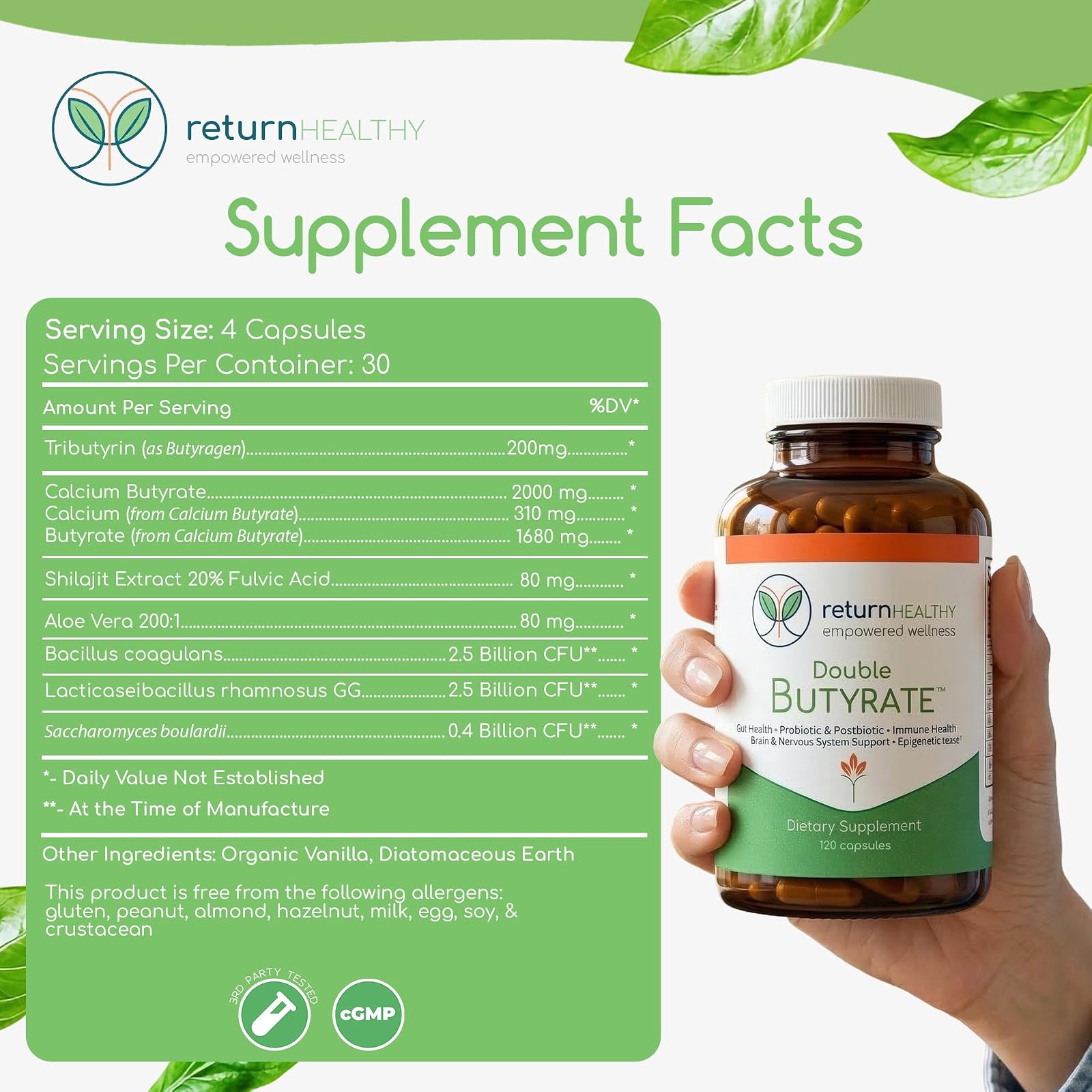 support gut wellness with probiotics