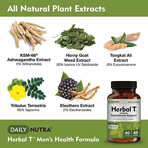 support healthy aging naturally