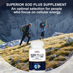 Support healthy aging with antioxidants