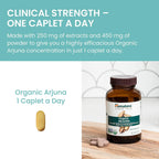support healthy blood circulation