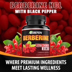 support healthy blood sugar levels berberine