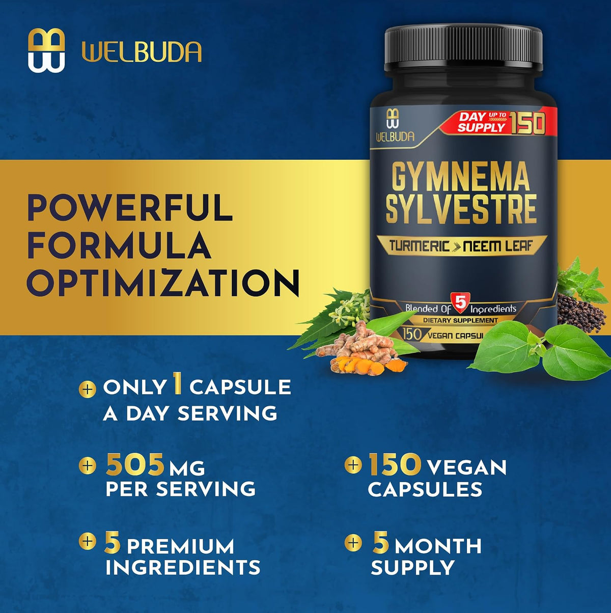 support healthy blood sugar levels