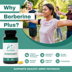 support healthy blood sugar levels