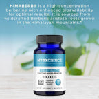 support healthy blood sugar levels