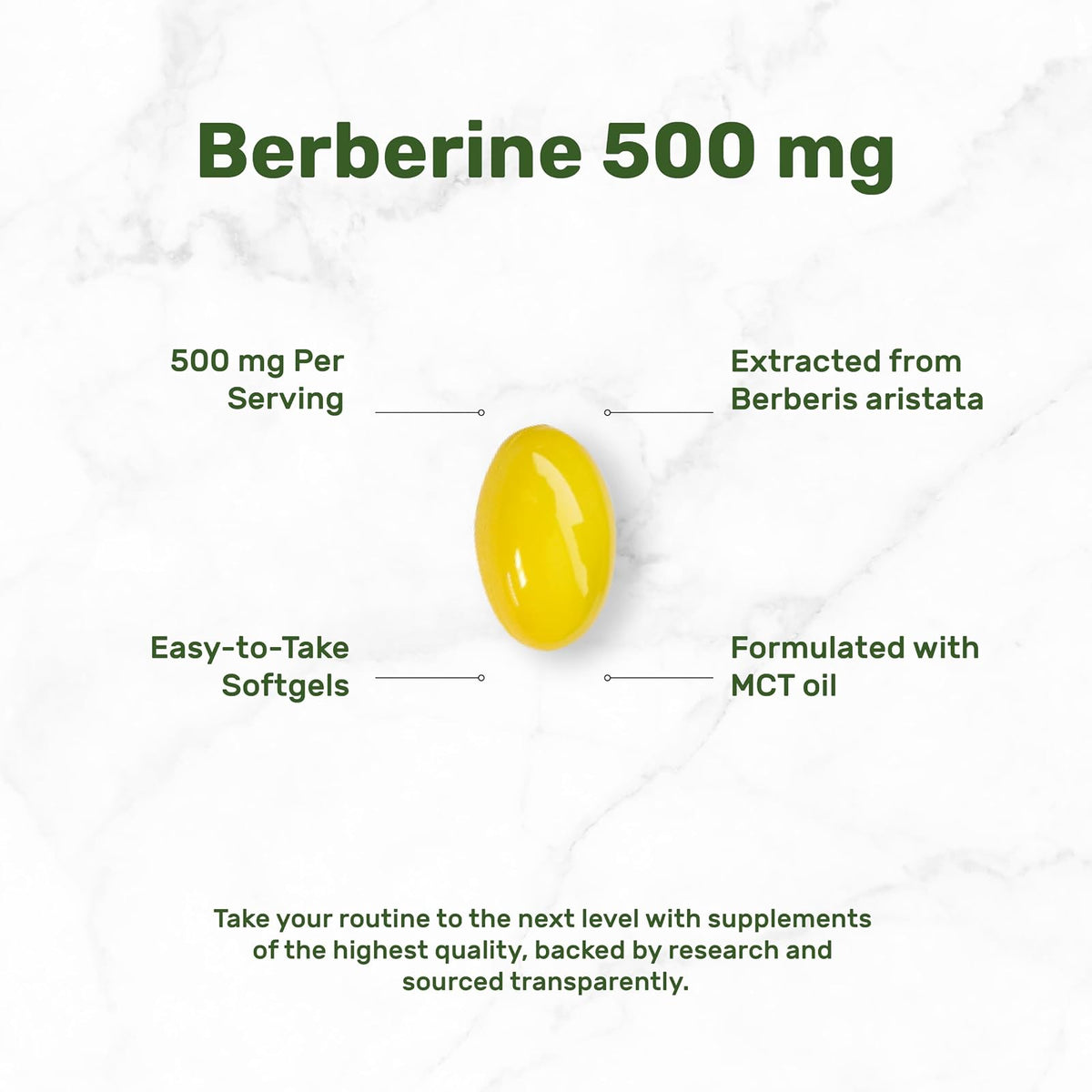 support healthy blood sugar levels