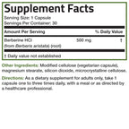support healthy blood sugar levels