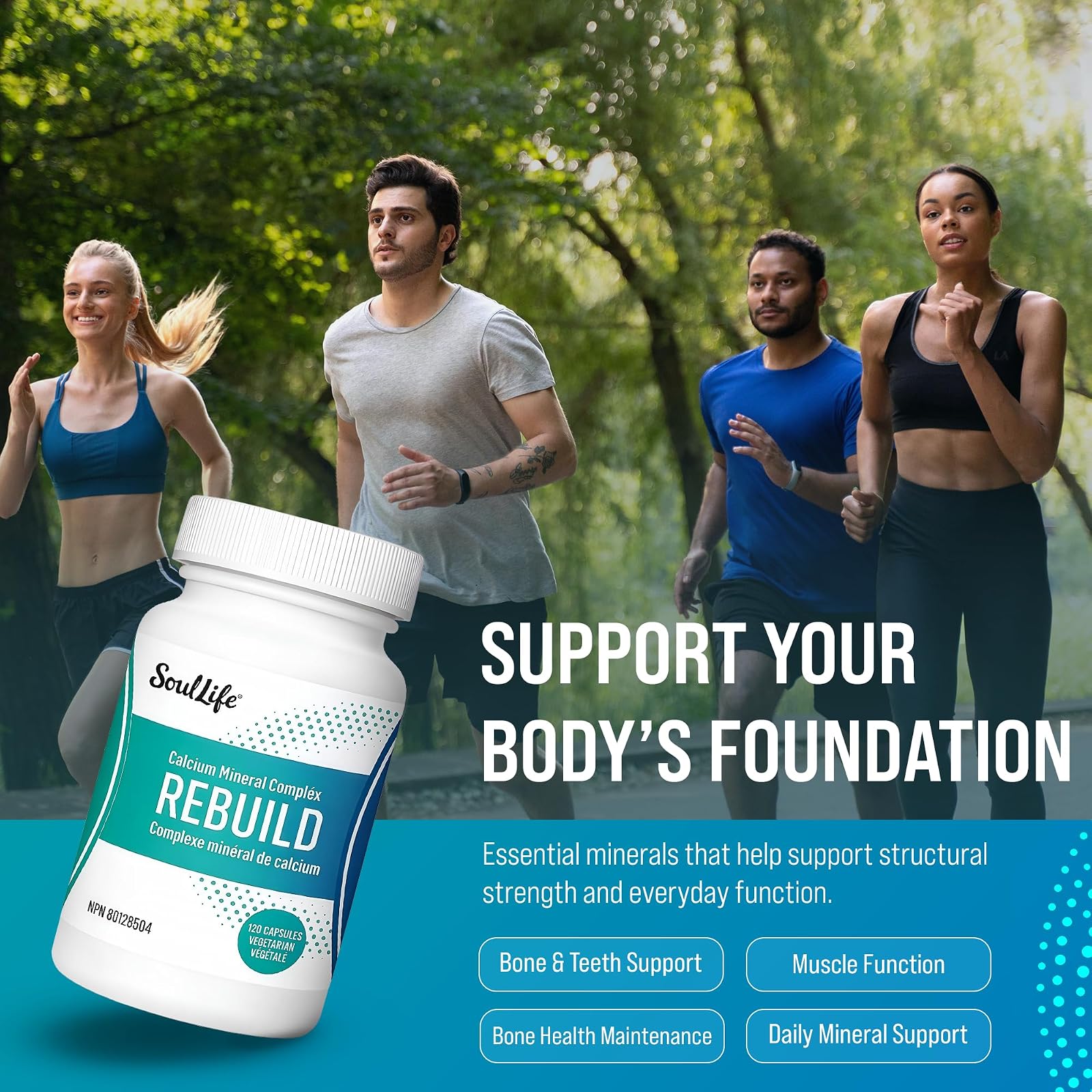 support healthy bones and teeth