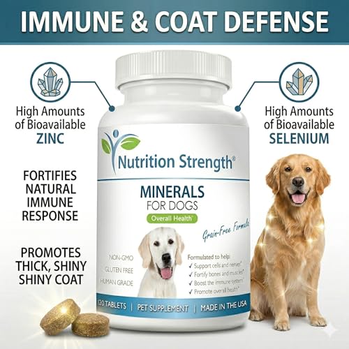 support healthy bones in dogs