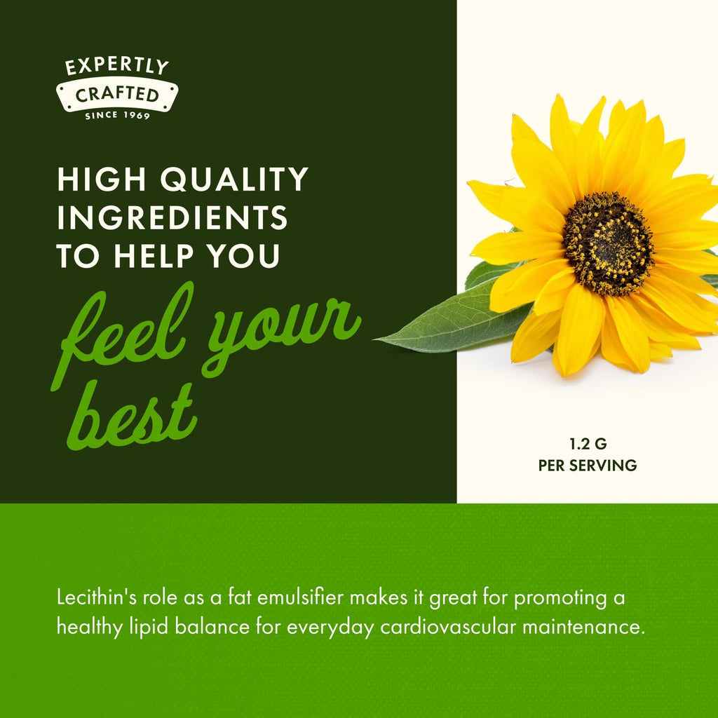 support healthy brain function