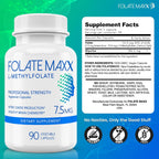 support healthy brain function