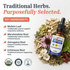 Support healthy breathing with Mullein