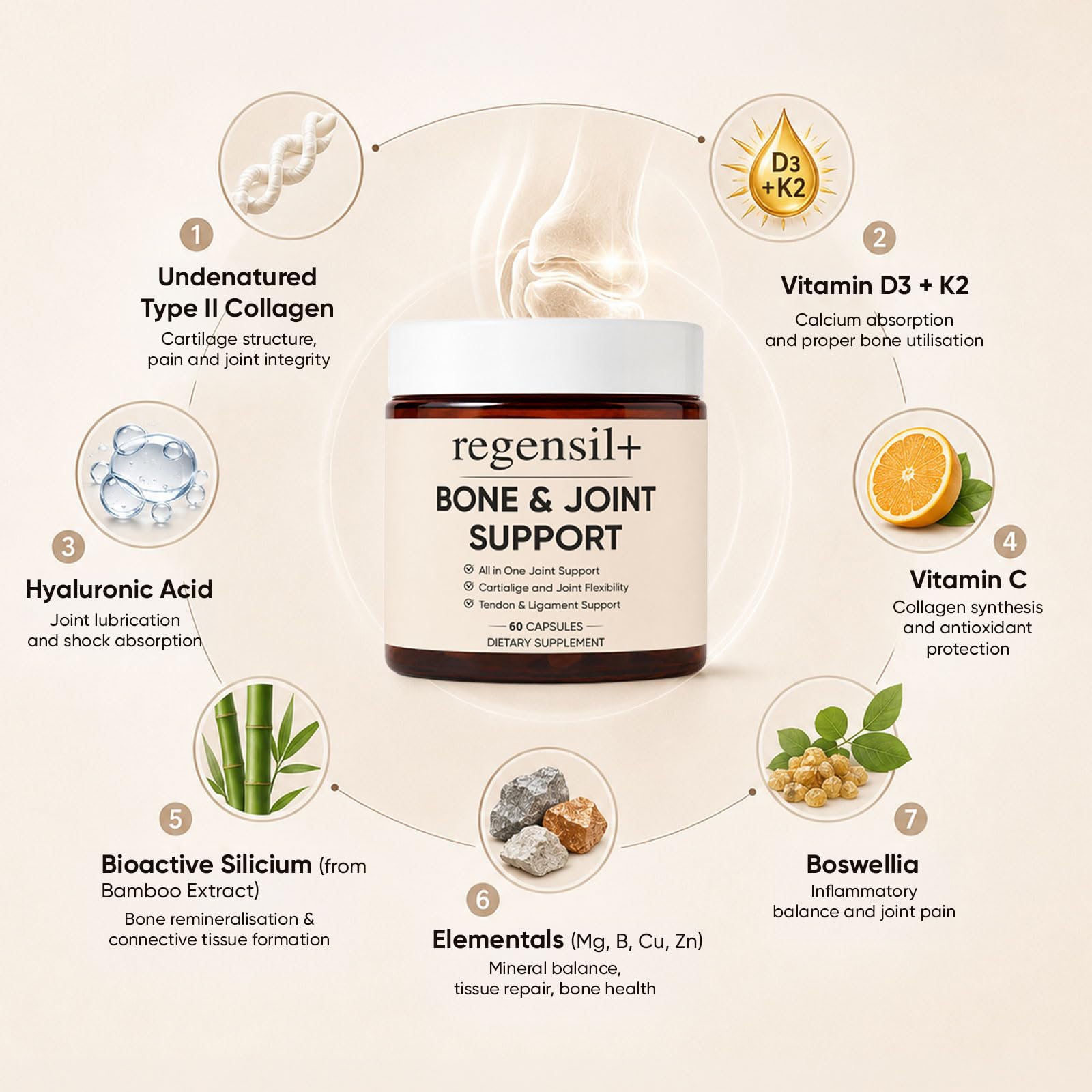 Support healthy cartilage and joints