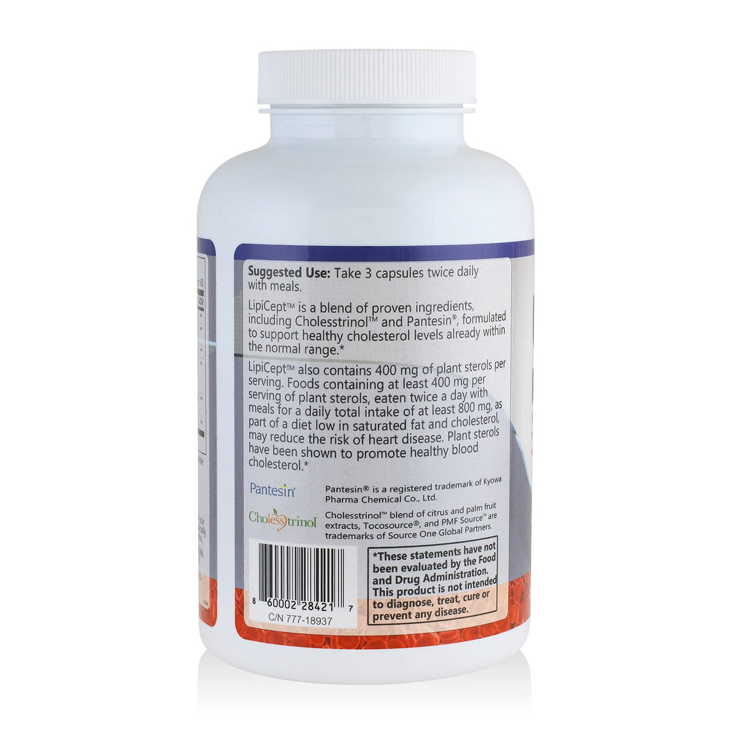 support healthy cholesterol levels