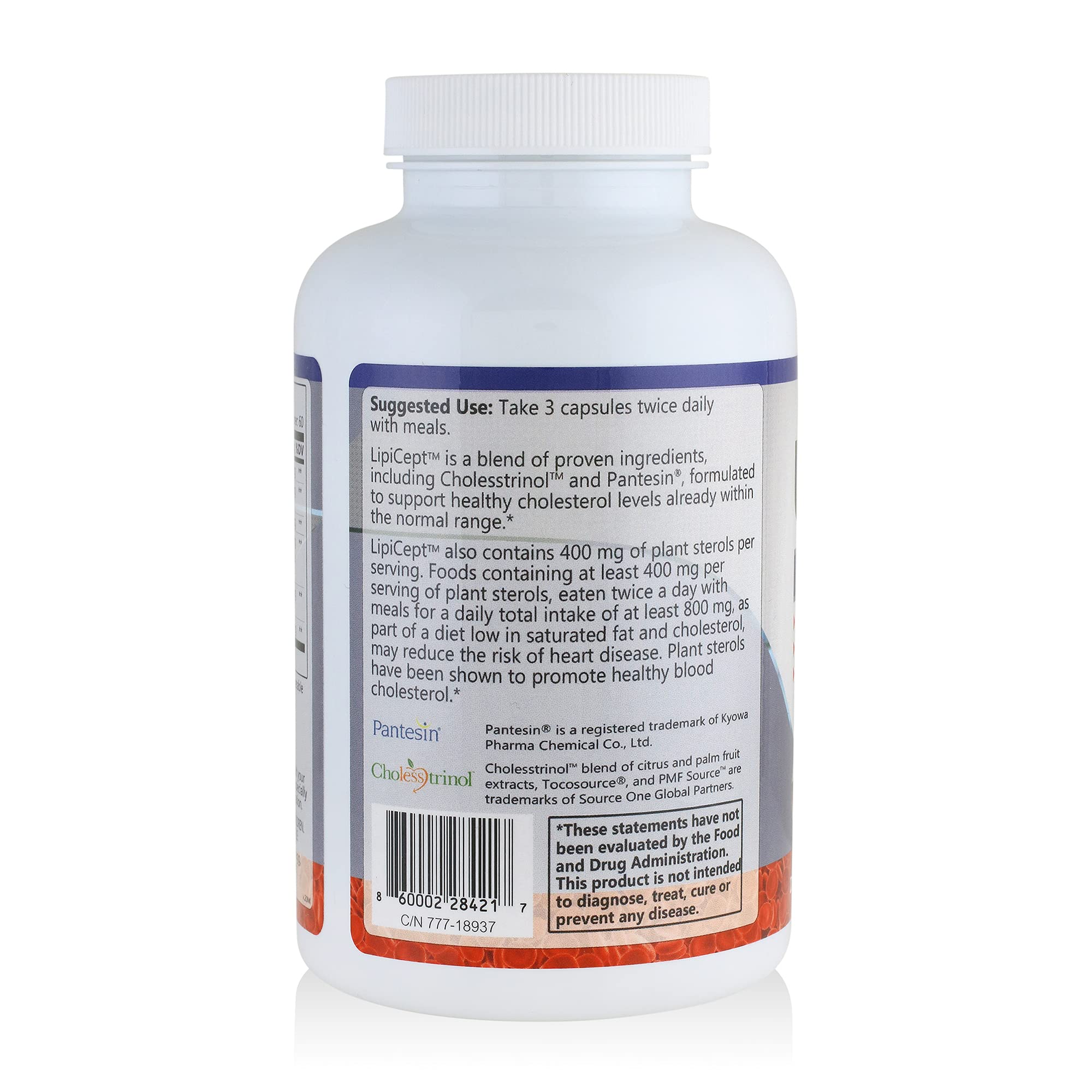 support healthy cholesterol levels