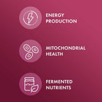 support healthy digestion fermented beets