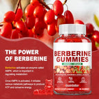 Support healthy digestion with berberine