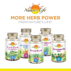 support healthy digestion with celery seed