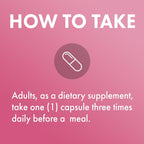 support healthy digestion with enzymes
